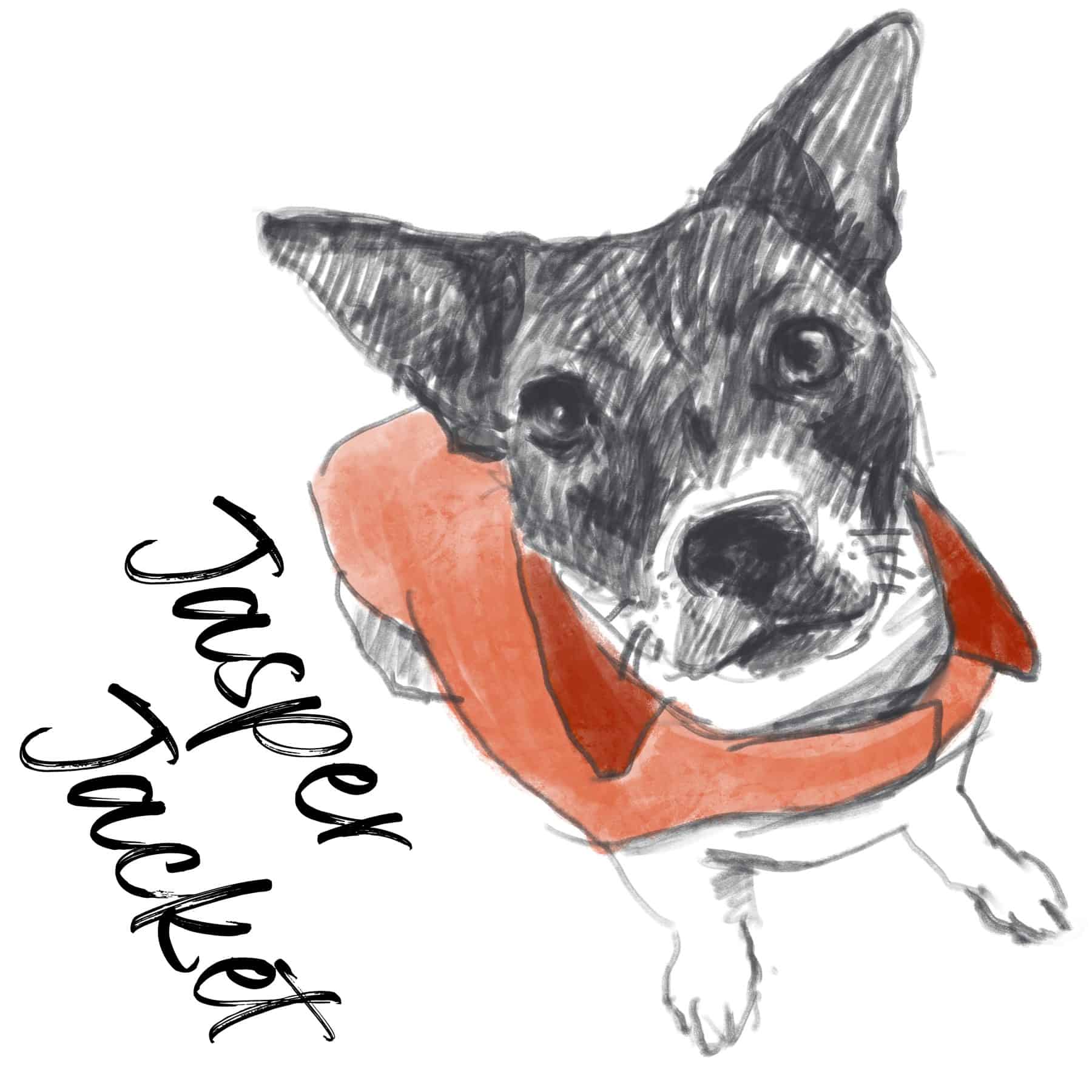 18 Sizes Dog Sweater PDF Pattern - Fido Jumper - The Tailoress