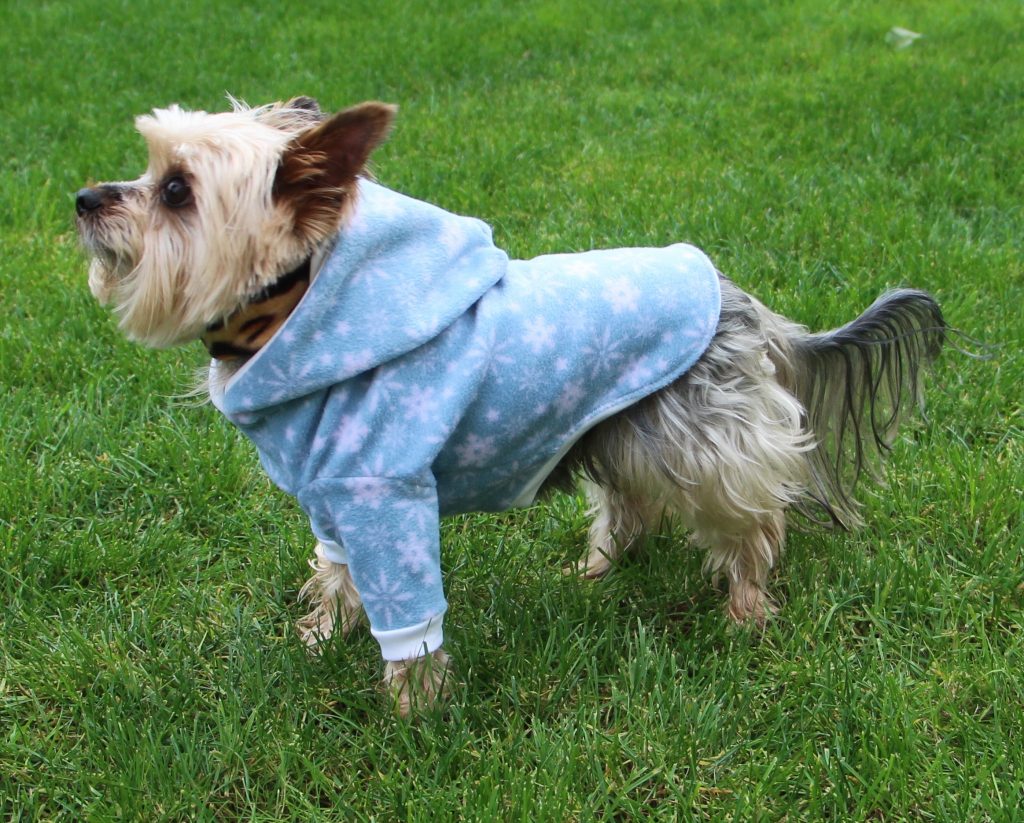 18 Sizes Dog Sweater PDF Pattern - Fido Jumper - The Tailoress