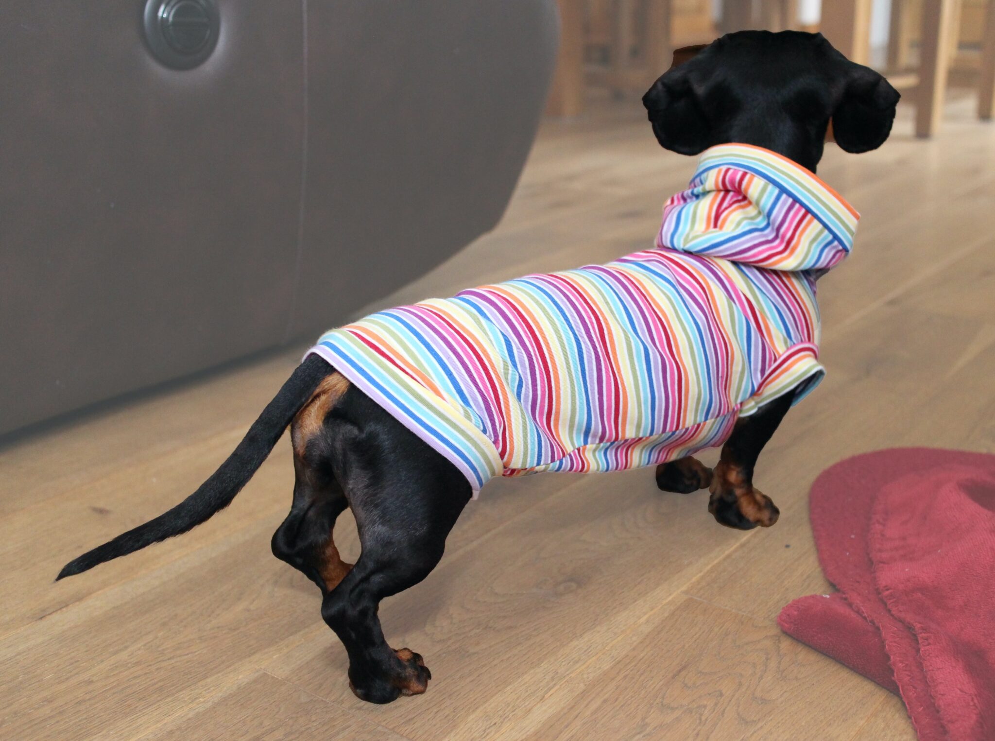 5 Sizes Dachshund Sweater Sewing Pattern - Jasra Tee - The Tailoress
