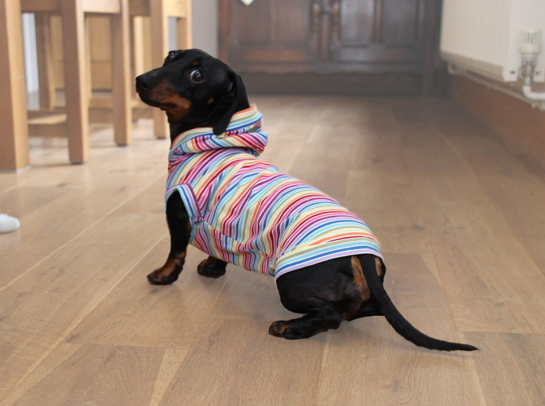 5 Sizes Dachshund Sweater Sewing Pattern - Jasra Tee - The Tailoress