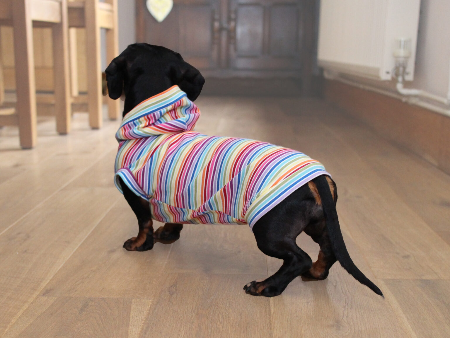 5 Sizes Dachshund Sweater Sewing Pattern - Jasra Tee - The Tailoress