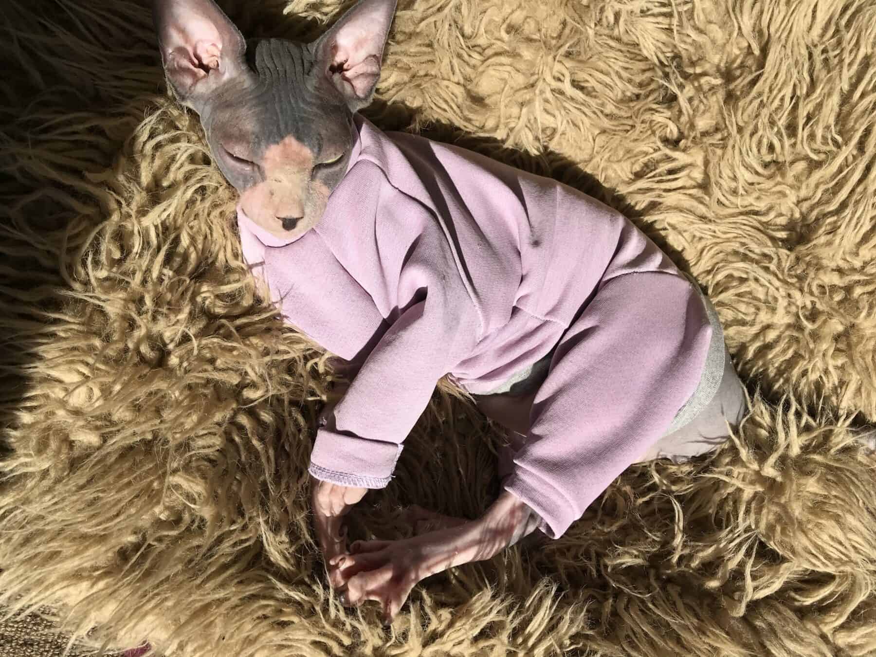 50 Sizes Sphynx Cat Pyjama Pattern - Cleopatra Pyjamas Four Legged for ...