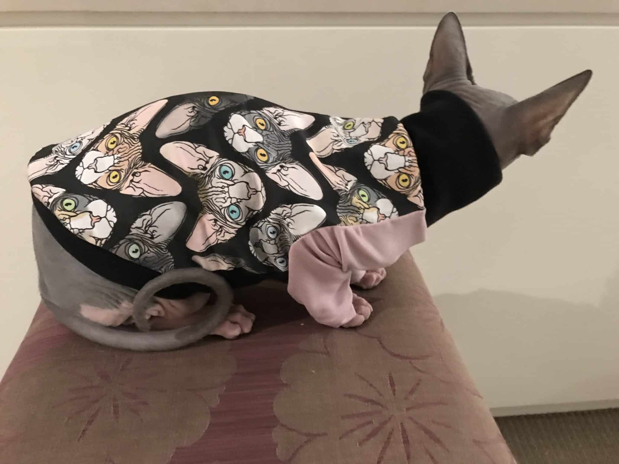 50 Sizes Sphinx Cat Sweater Sewing Pattern Penny Sweater for Cats - The ...