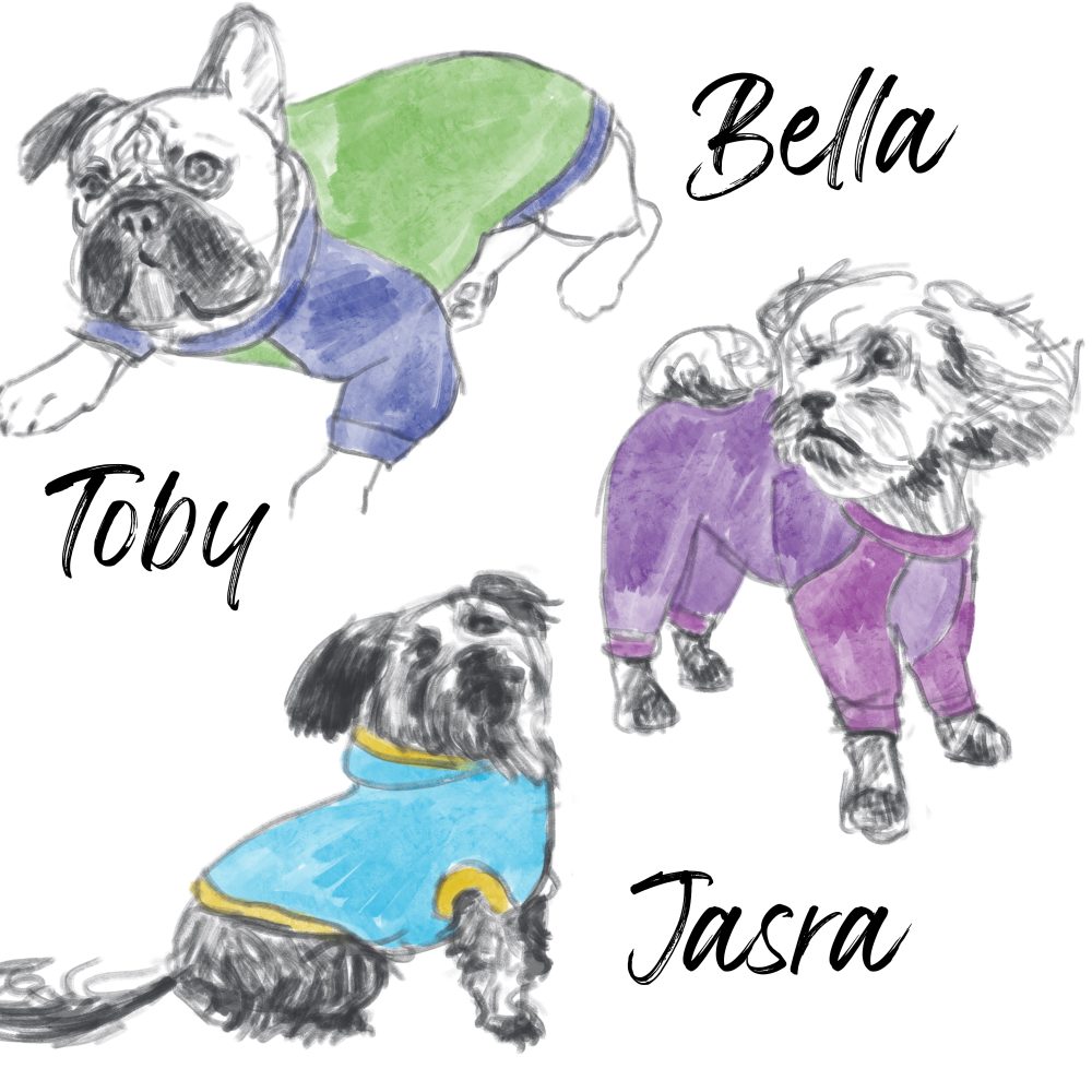 18 Sizes Dog Sweater PDF Pattern - Fido Jumper - The Tailoress